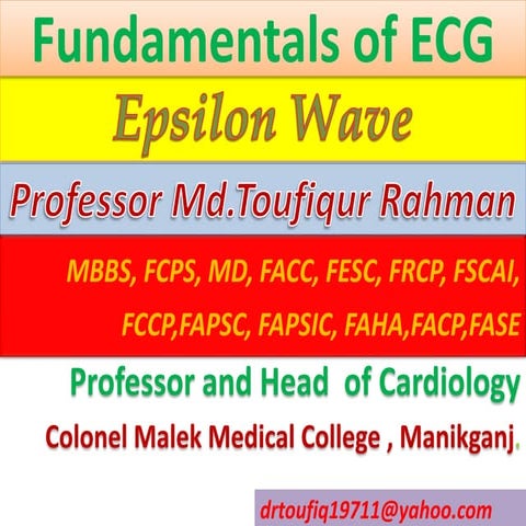 Epsilon Wave Ekg Monitor CR OMJ D 16 00100 FIgure 2.png