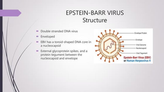 IHC protocols.pptx | Chemistry | Science