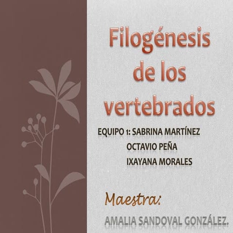 Eq.1(2)...filogénesis de los vertebrados | PPTX