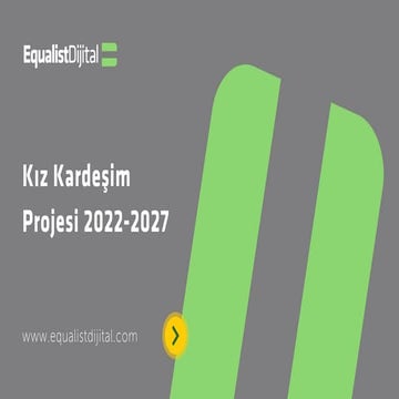 Equalist Dijital - Kız Kardeşim Projesi Coca Cola | PDF