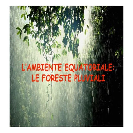 La foresta equatoriale | PDF