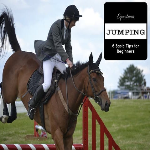 Equestrian Jumping: 6 Basic Tips for Beginnners | PDF