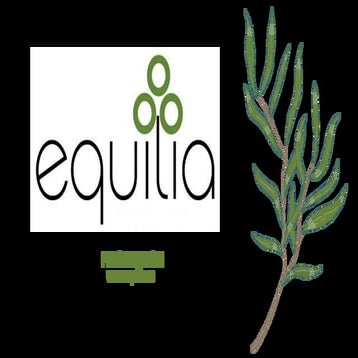 EQUILIA - our services | PPT