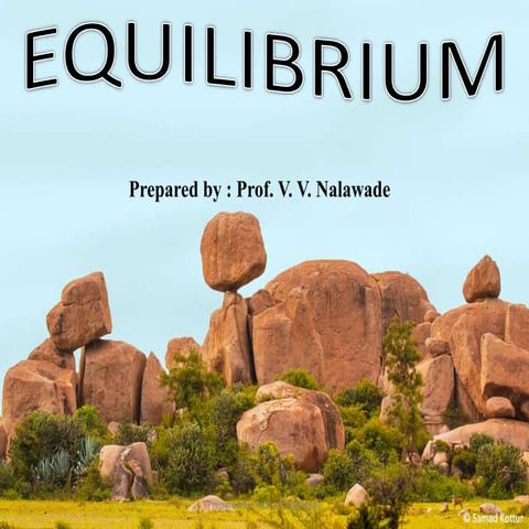 Equilibrium.pptx