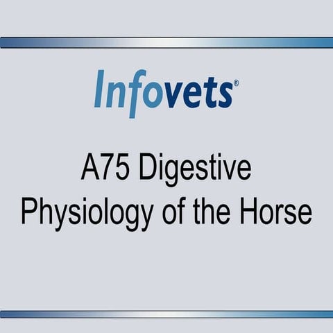 Equine-Digestion-Physiology of horse.ppt
