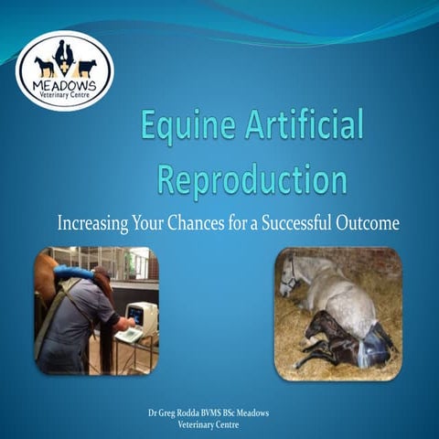 Equine Artificial Reproduction: Increasing your changes for a ...