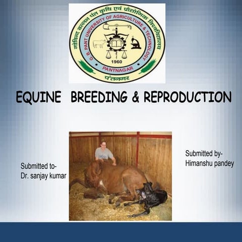 Equine breeding & reproduction | PPT