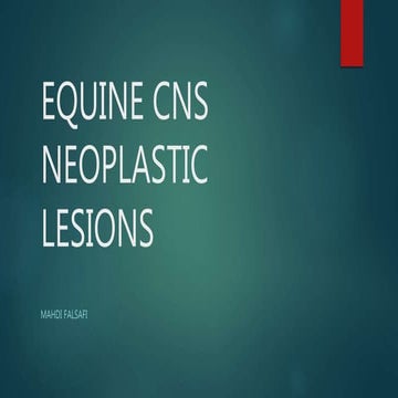 Equine CNS neoplastic lesions in brief By Dr Mahdi Falsafi | PPTX
