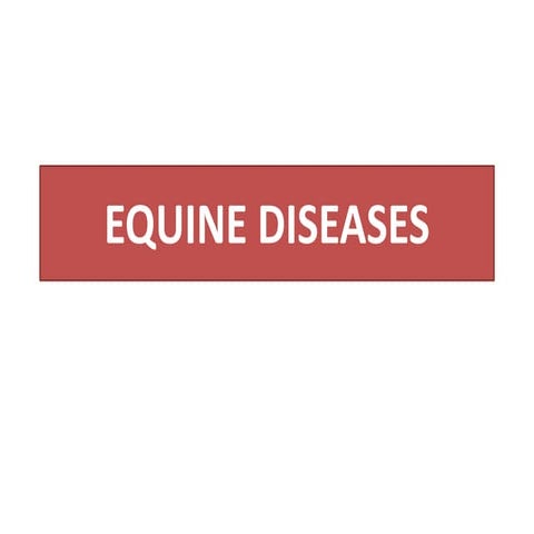 Equine diseases | PPTX