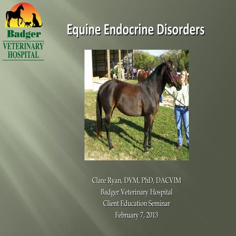 Equine Endocrine Disorders slides | PPS