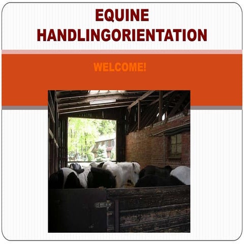 Equine handling | PPTX
