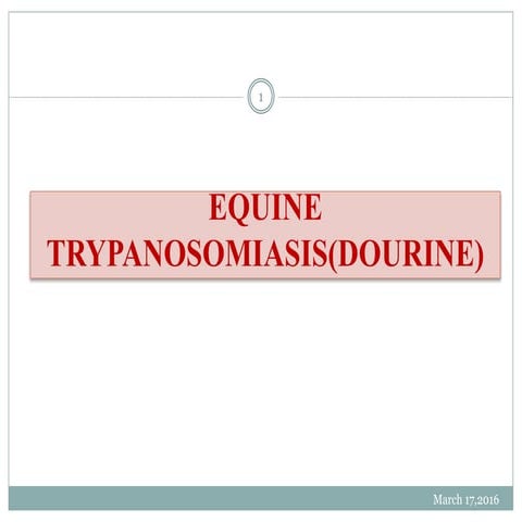 Equine trypanosomiasis(dourine) | PPTX