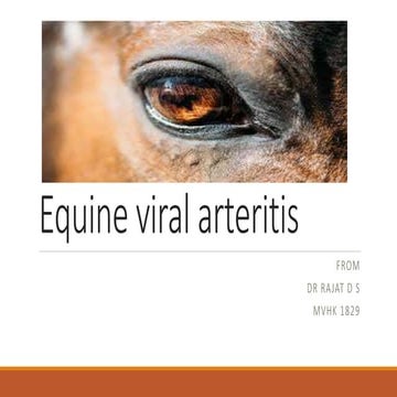 Equine viral arteritis | PPTX