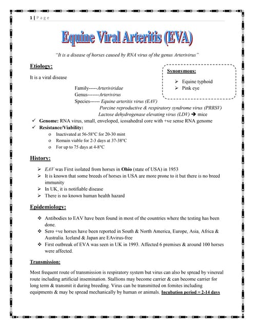 Cardiovascular system of goat | DOCX | Heart and Cardiovascular ...