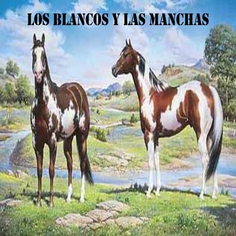 Equinos blancos y marcas | PPTX