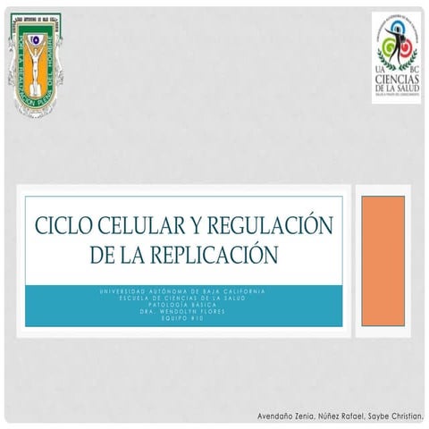 Ciclo celular y regulación de la replicación celular | PPTX | Endocrine ...