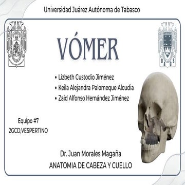 Vómer | PPTX