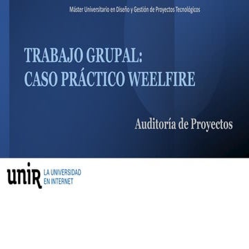 Trabajo en grupo, caso Weelfire, Auditoria de proyectos | PPTX | Computing | Technology & Computing