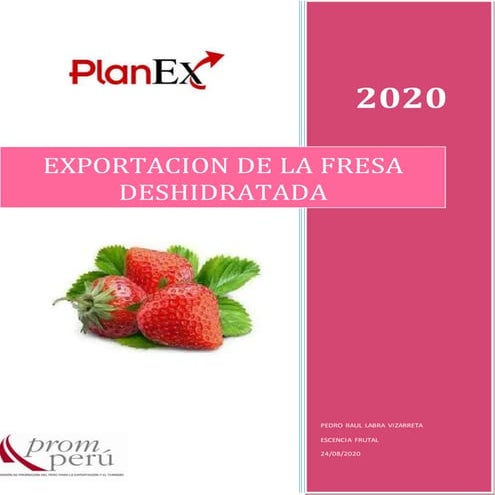 EQUIPO PLANEX FRESA DESHIDRATADA (2).docx