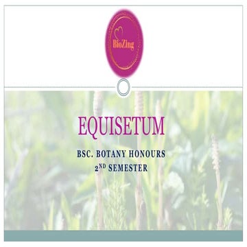 Morphology, Structure and Reproduction of Equisetum. | PPTX