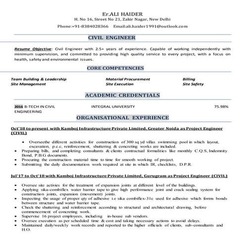 Er.ali haider curriculam vitae | PDF