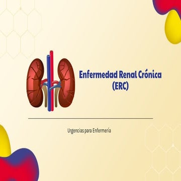 ERC.pdf