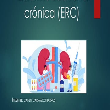 ERC (enfermedad renal crónica) medicina 2024 | PPTX