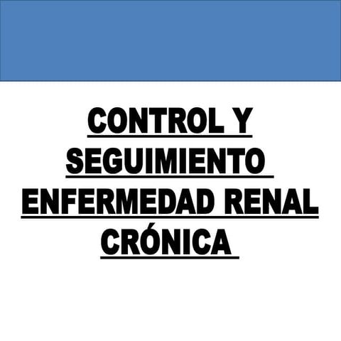 ERC SEGUIMIENTO.pptx PRESENTACION POWER POINT | PPTX
