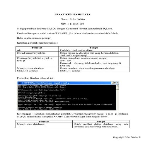 Basis data (Database) | PDF