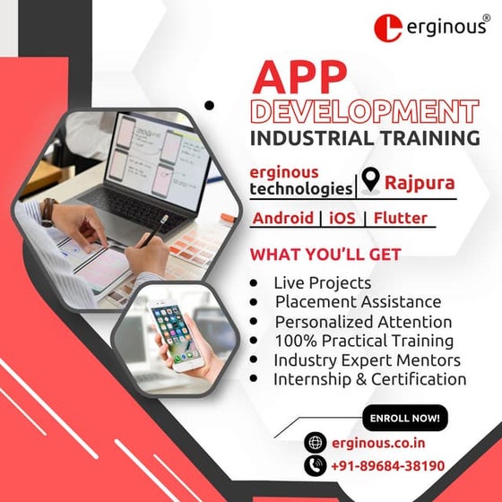 Python Training in Rajpura| Erginous infographic | PDF