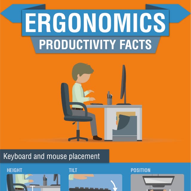 Ergonomics & Productivity | PDF