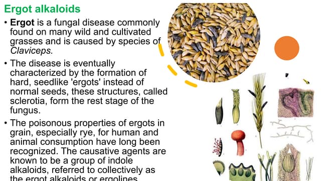 Ergot alkaloids.pptx