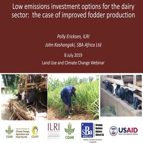 Low emission investment options for the dairy sector: The case of ...