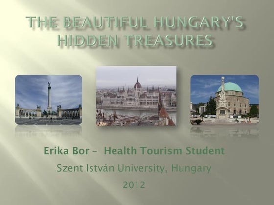 Bor Erika: Otthonom, Finnország | PPT