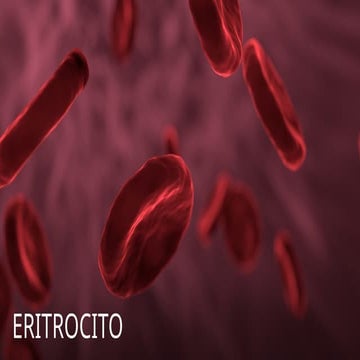 Eritrocitos | PPTX