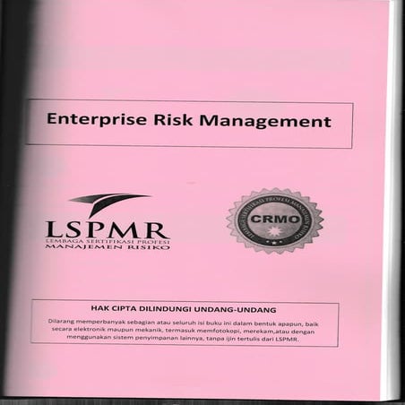 Enterprise Risk Management | PDF