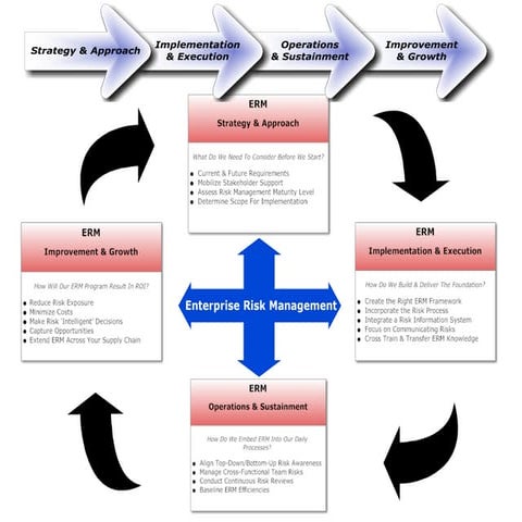 Risk Life Cycles | PDF