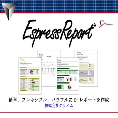 EspressReport | PPT