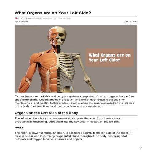 What Organs are on Your Left Side | PDF