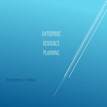 Understanding ERP by Workstream Systems.pdf