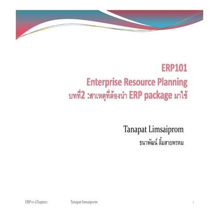 ERP101 Chapter2 | PDF