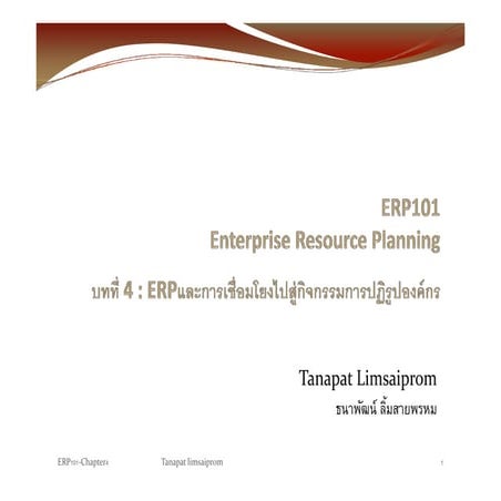 ERP101 Chapter 1 | PDF