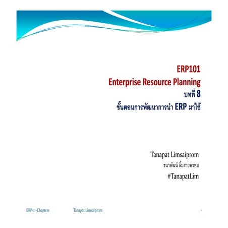 ERP101 Chapter 1 | PDF