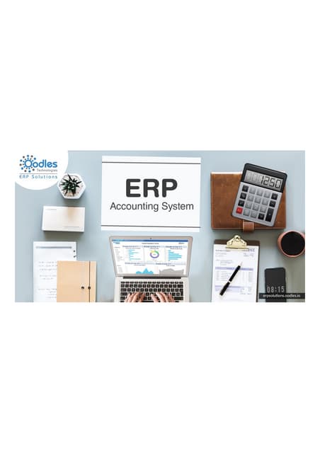 Erp accounting-software | PDF