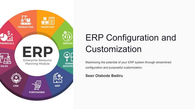 ERP Integration and Data Migration | PDF