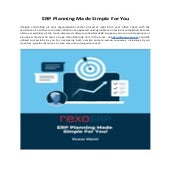 ERP Planning Made Simple For You.pdf
