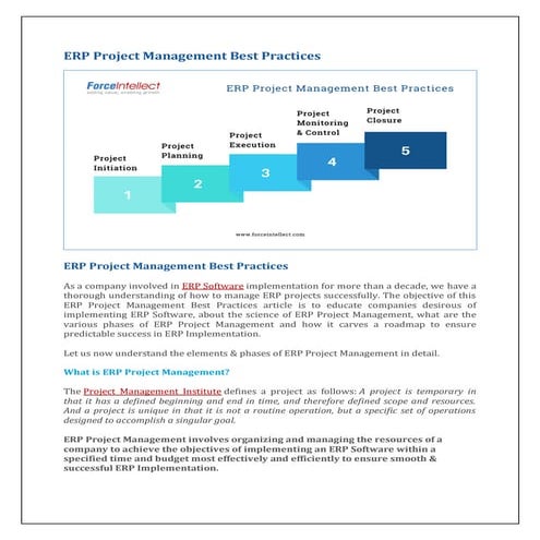 Erp Project Management Best Practices Pdf