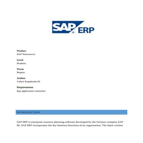 Erp (sap report) | PDF | Computer Software and Applications | Computing
