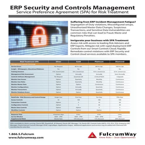 ERP Security as a Service 2017 | PDF