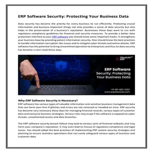 ERP Software Security- Protecting Your Business Data | PDF